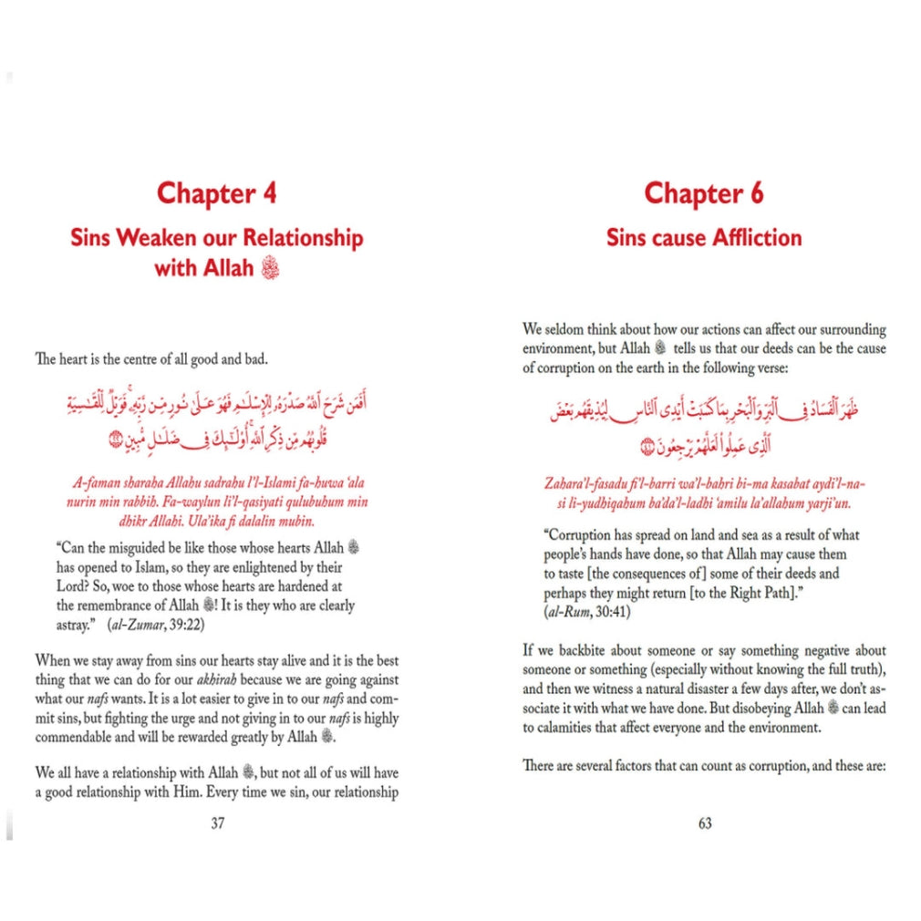 Sins: The Poison of the Heart by Dr Haifaa Younis – Wonderbooks ZA